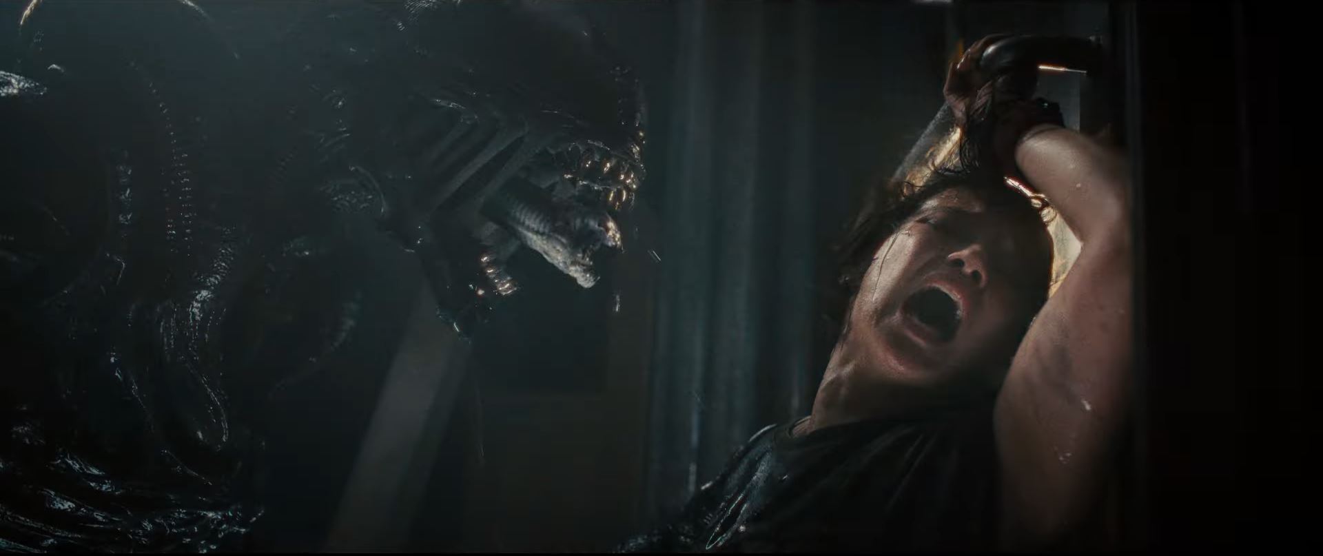 Trailer: Alien: Romulus | Filmz