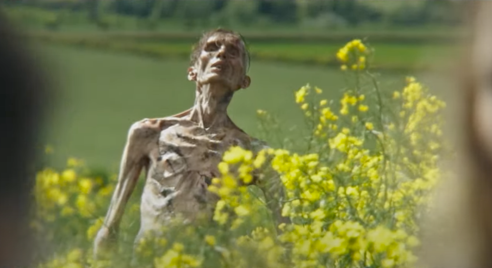 Cillian Murphy er måske blevet til zombie i første trailer til '28 ...